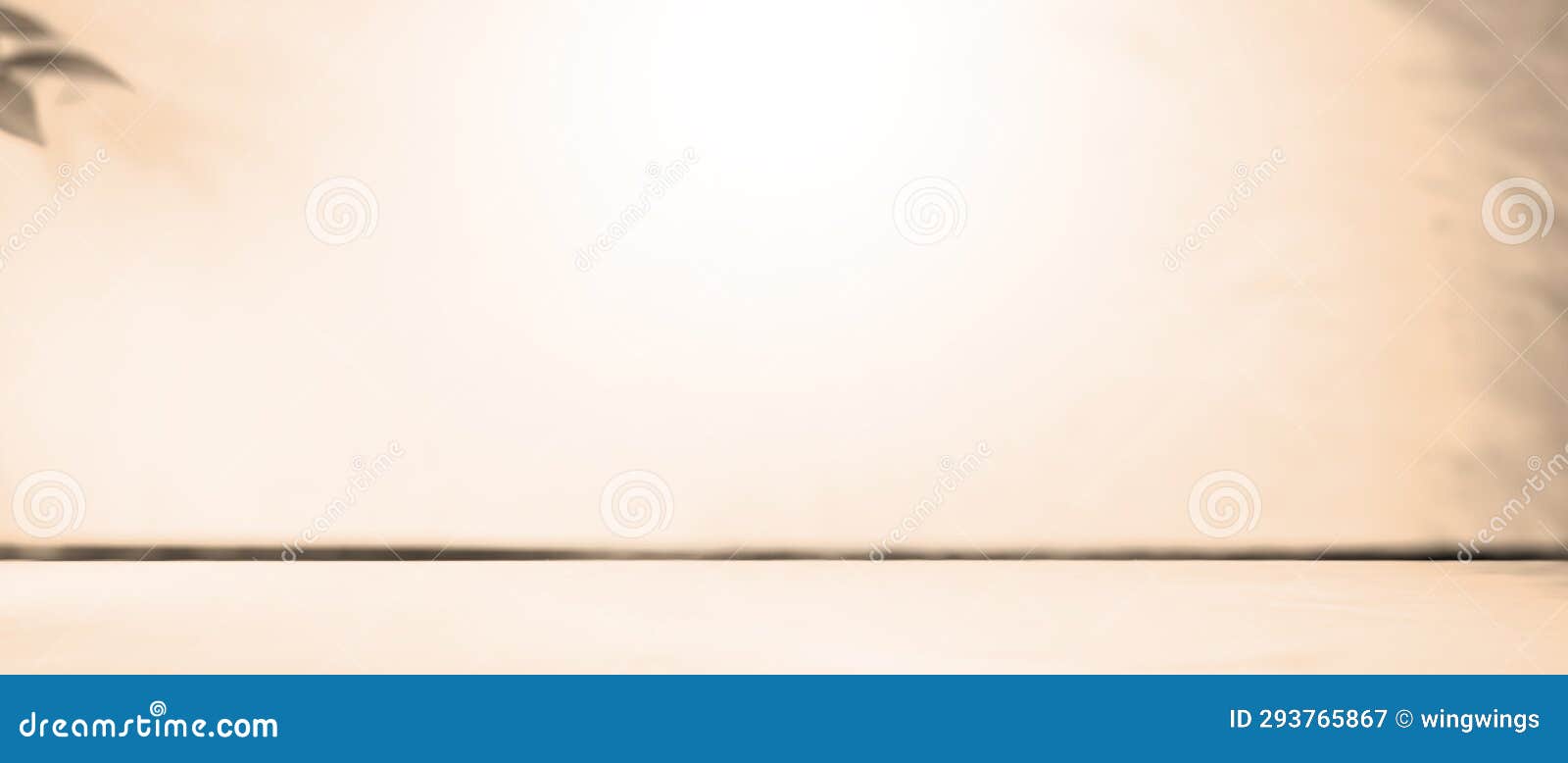Beige Background Wall Studio Light Shadow Backdrop Product Pattern Leaf ...