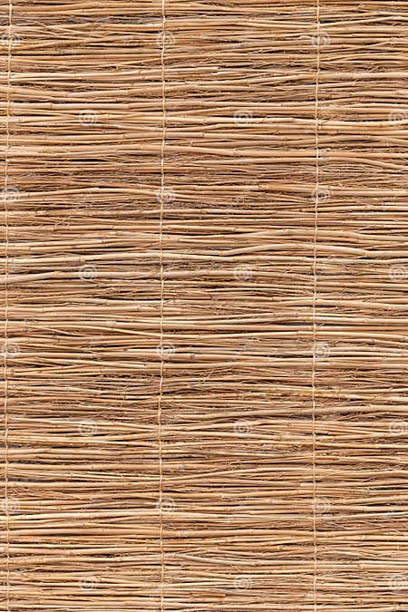 Beige bamboo mat texture stock image. Image of nature - 288888521