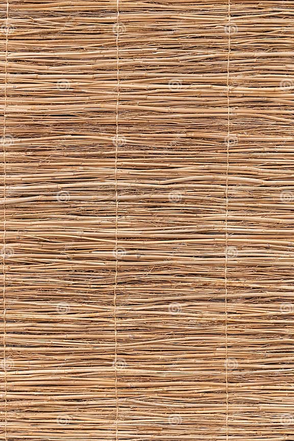 Beige bamboo mat texture stock image. Image of nature - 288888521