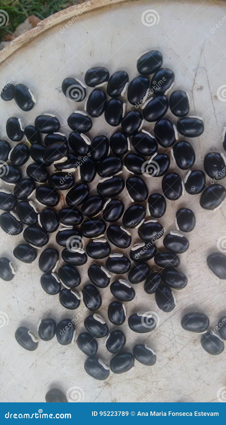 Beige bean stock image. Image of beige, handicrafts, velvet - 95223789