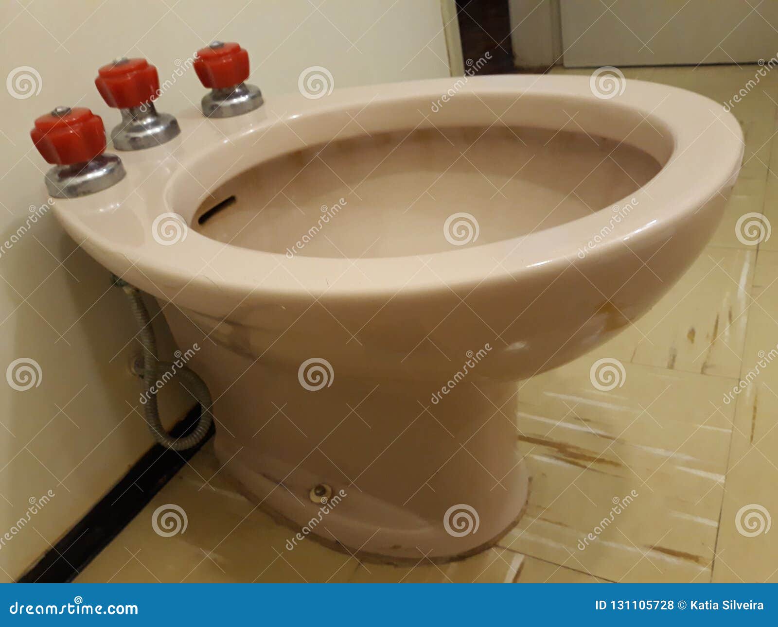 An old bide stock photo. Image of bide, bathroom, beige - 131105728