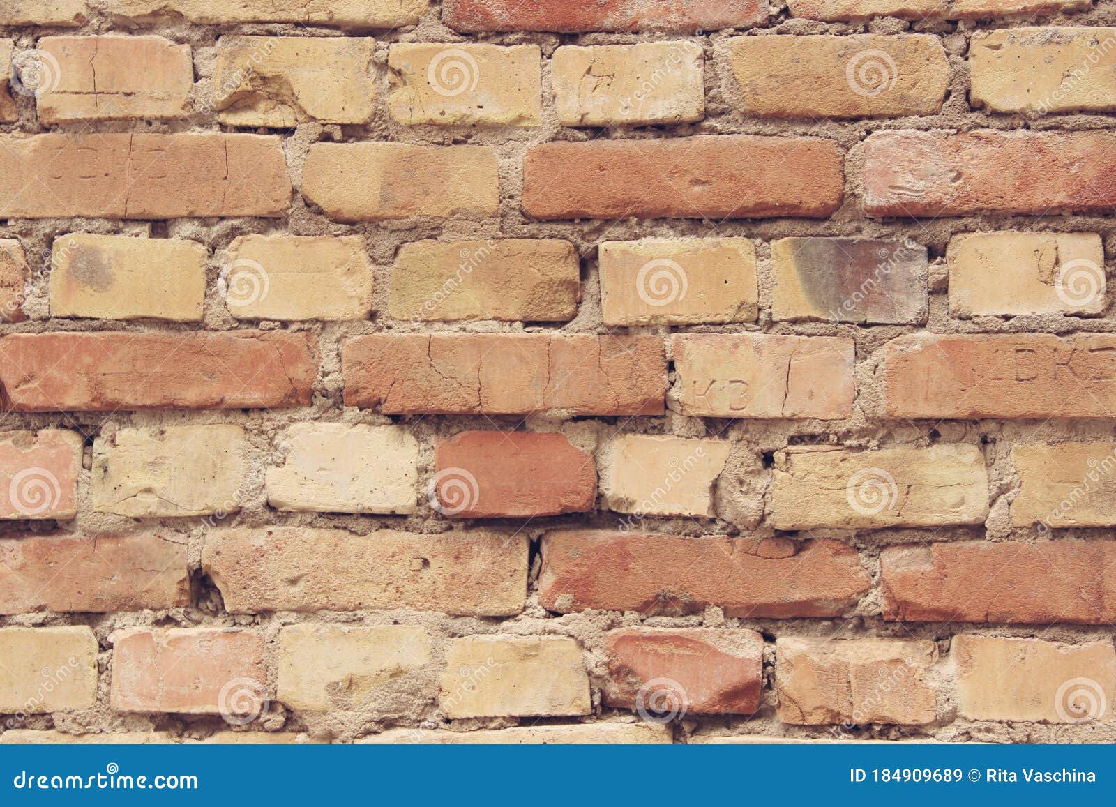 Copy Paste Words Stock Image | CartoonDealer.com #95050609