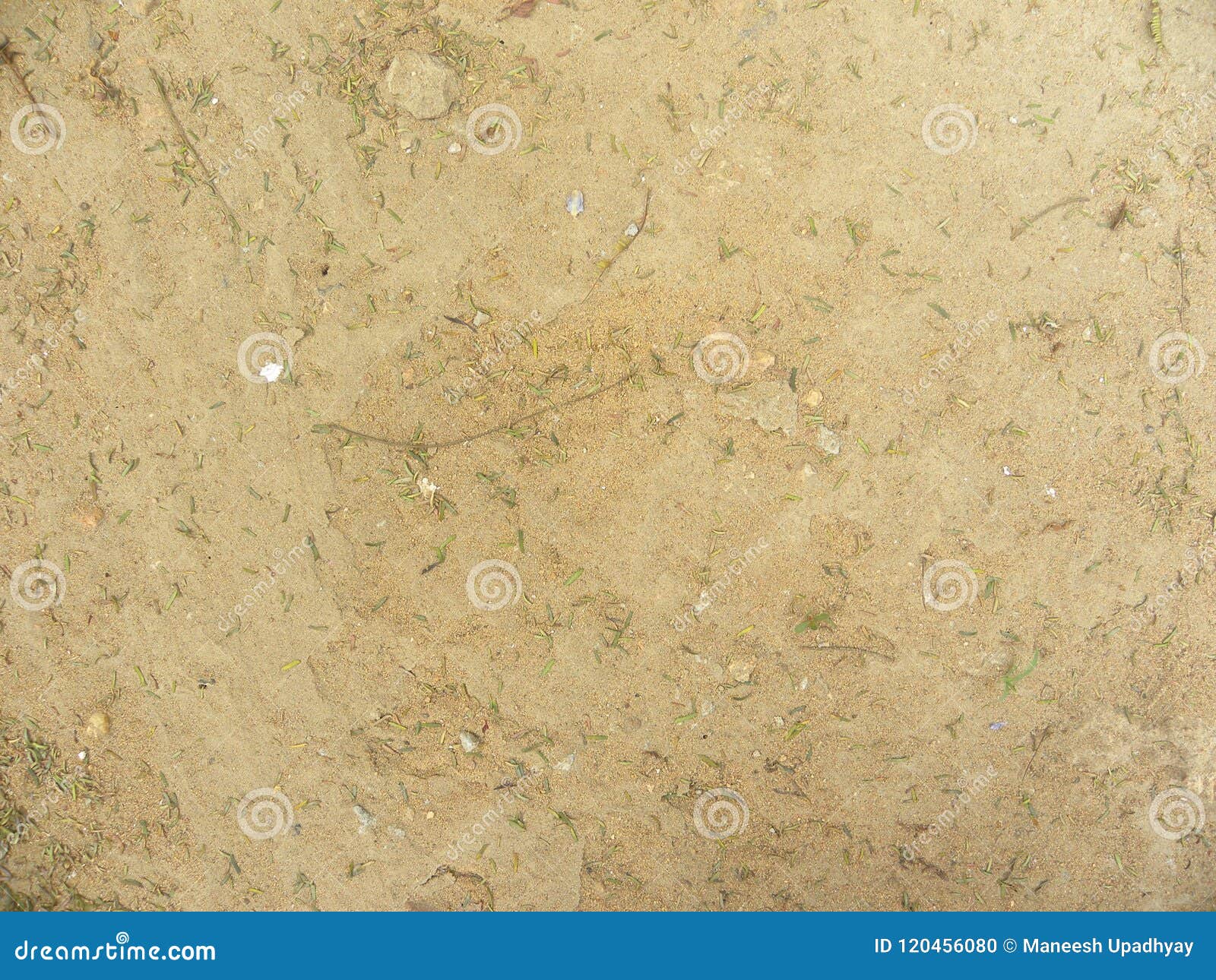 Beige Color Soil Background Stock Photo - Image of natural, black ...