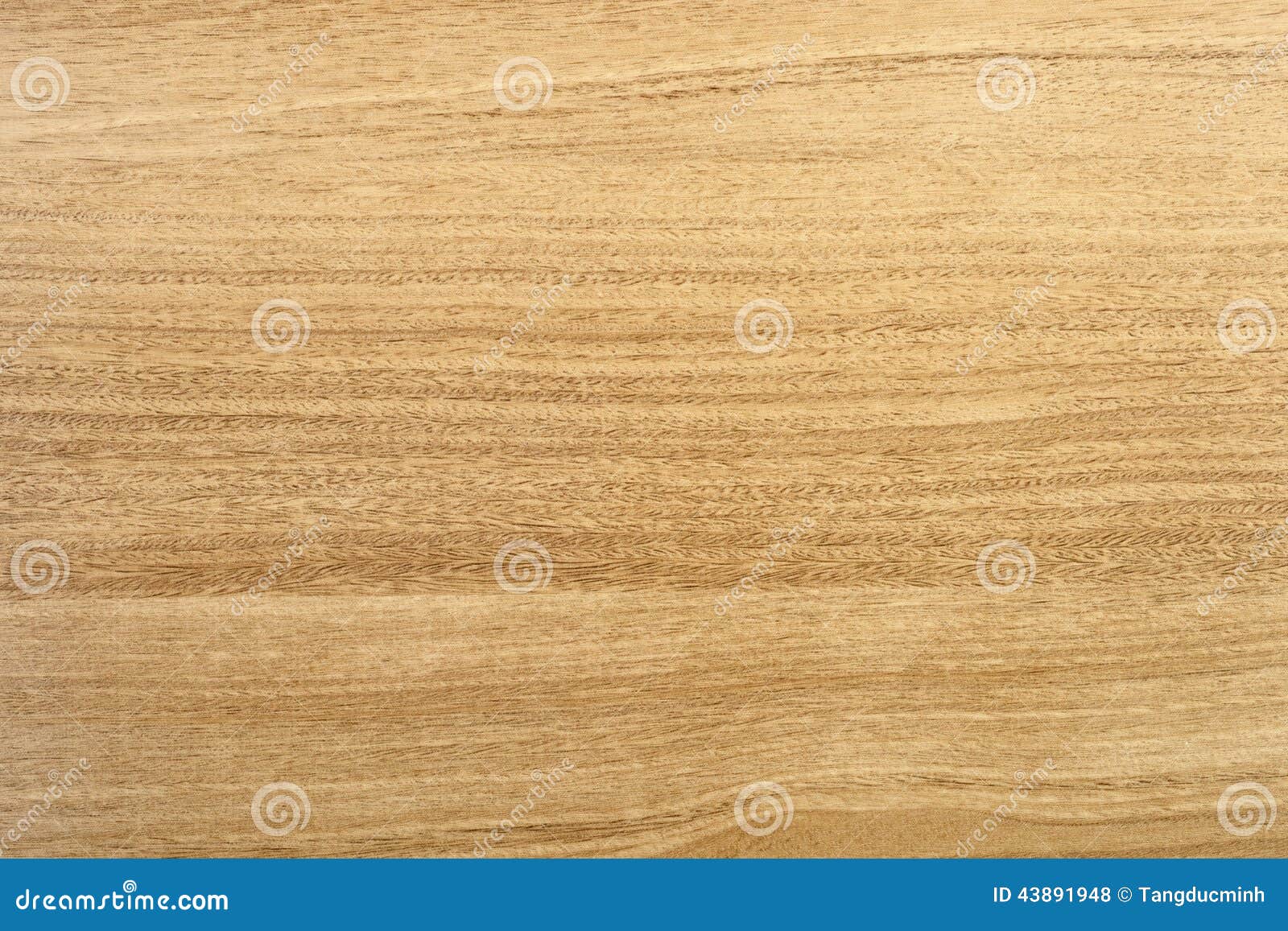 Beige Brown Wood pattern stock photo. Image of tree, artwork - 43891948