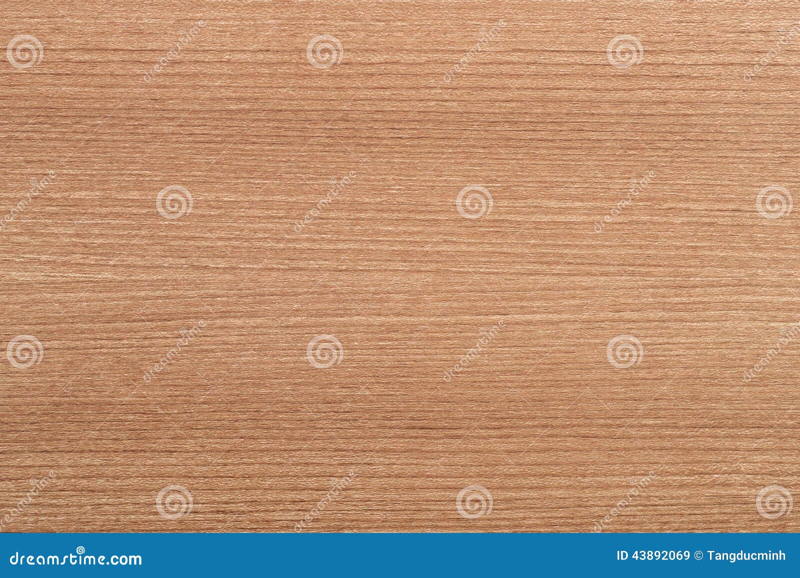 Beige Brown Wood pattern stock image. Image of beige - 43892069