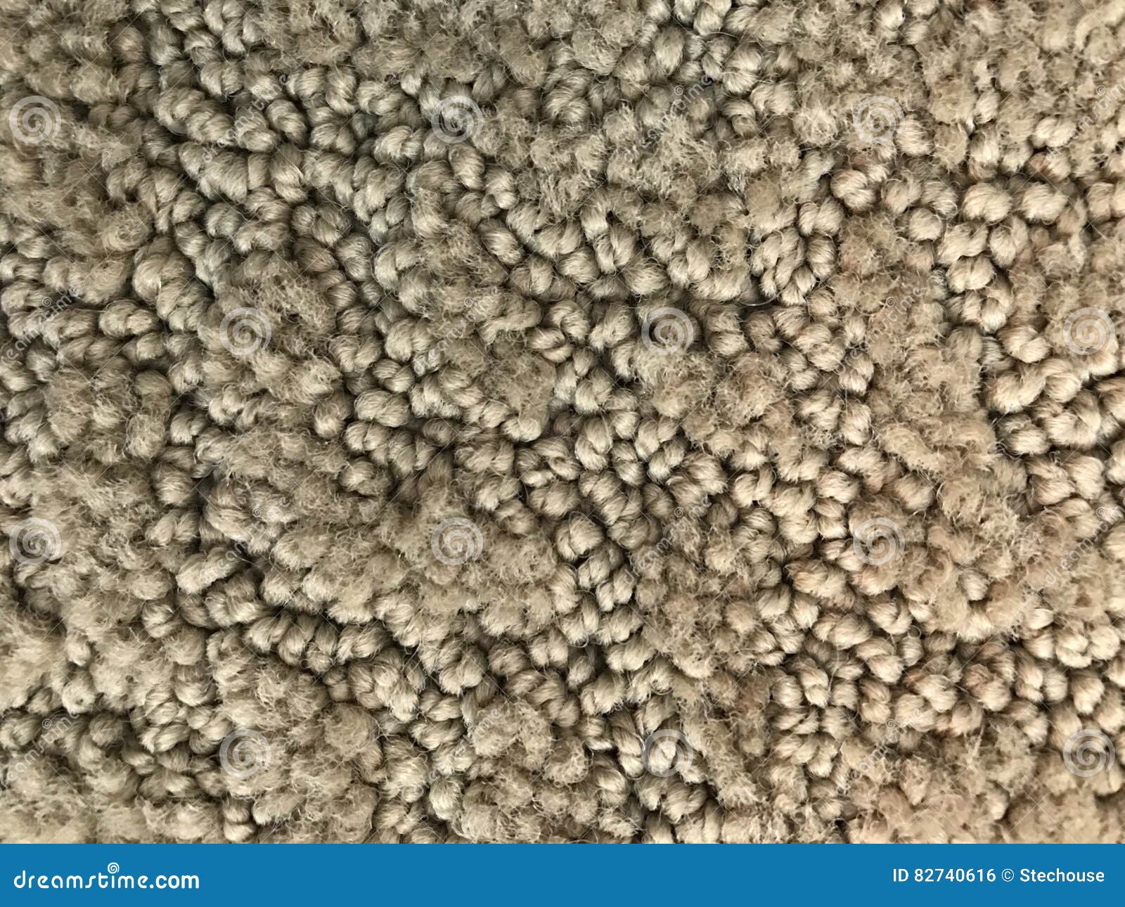 A beige carpet sample stock photo. Image of guests, carpet - 82740616