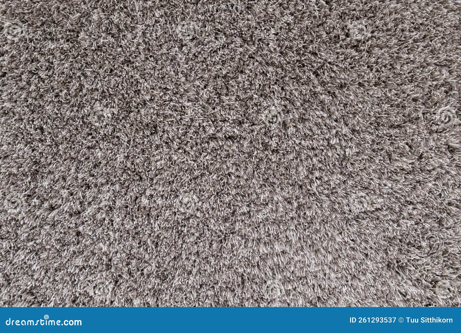 A Beige Carpet Texture Close-up,Close Up of Fluffy Carpet Stock Image ...