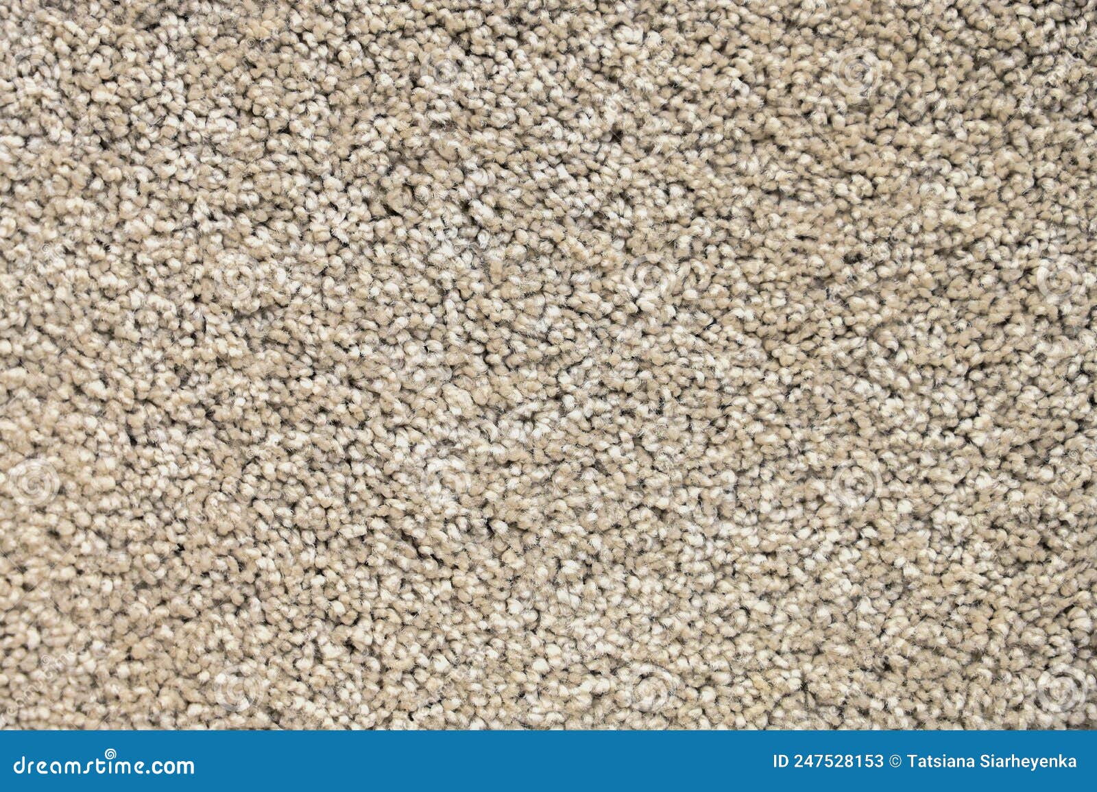 A Beige Carpet Texture Full Frame. Long Pile Carpet Texture. Stock ...