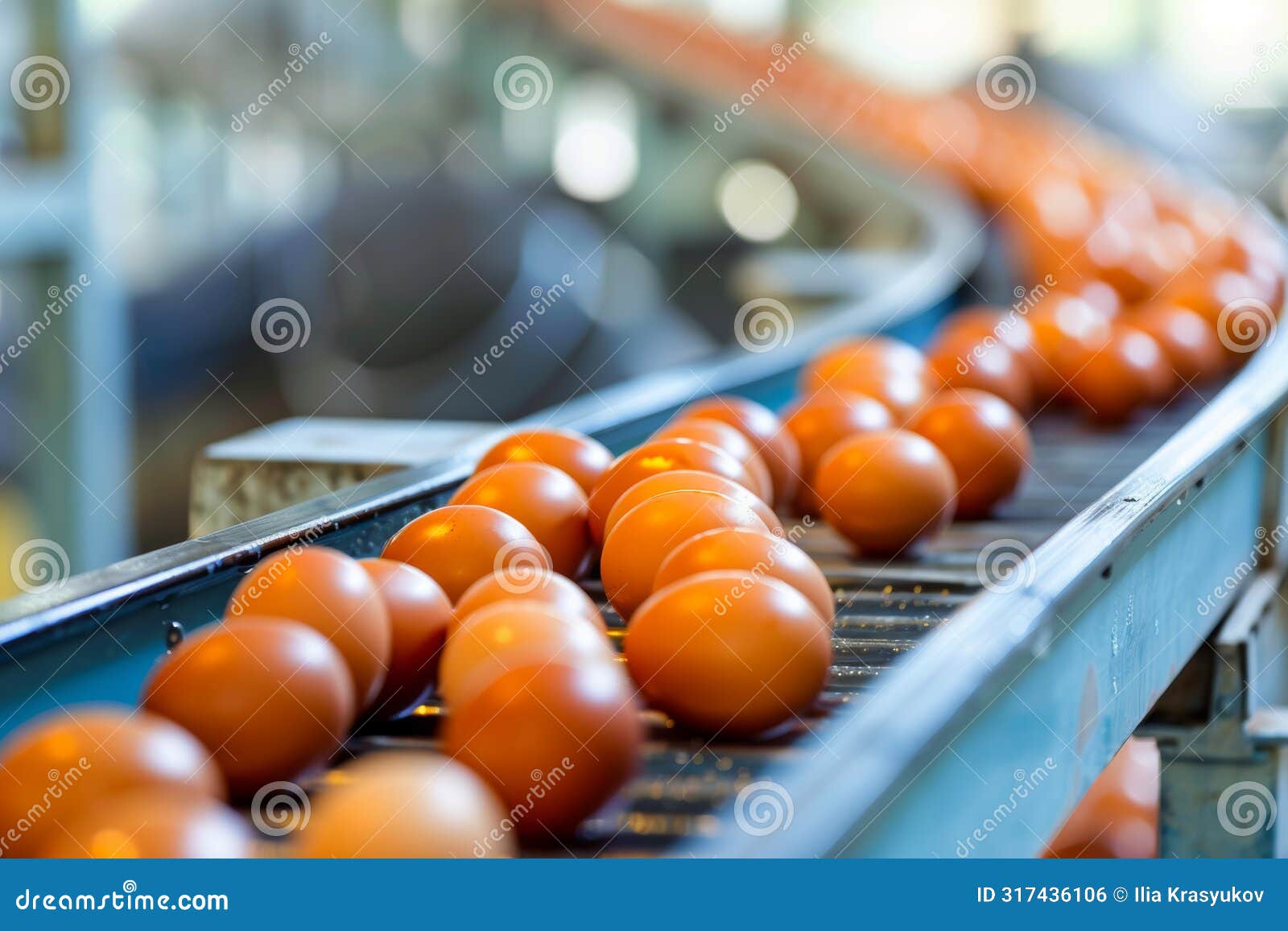 Modern Poultry Flock Thriving In Spacious Industrial Coop At Cutting ...