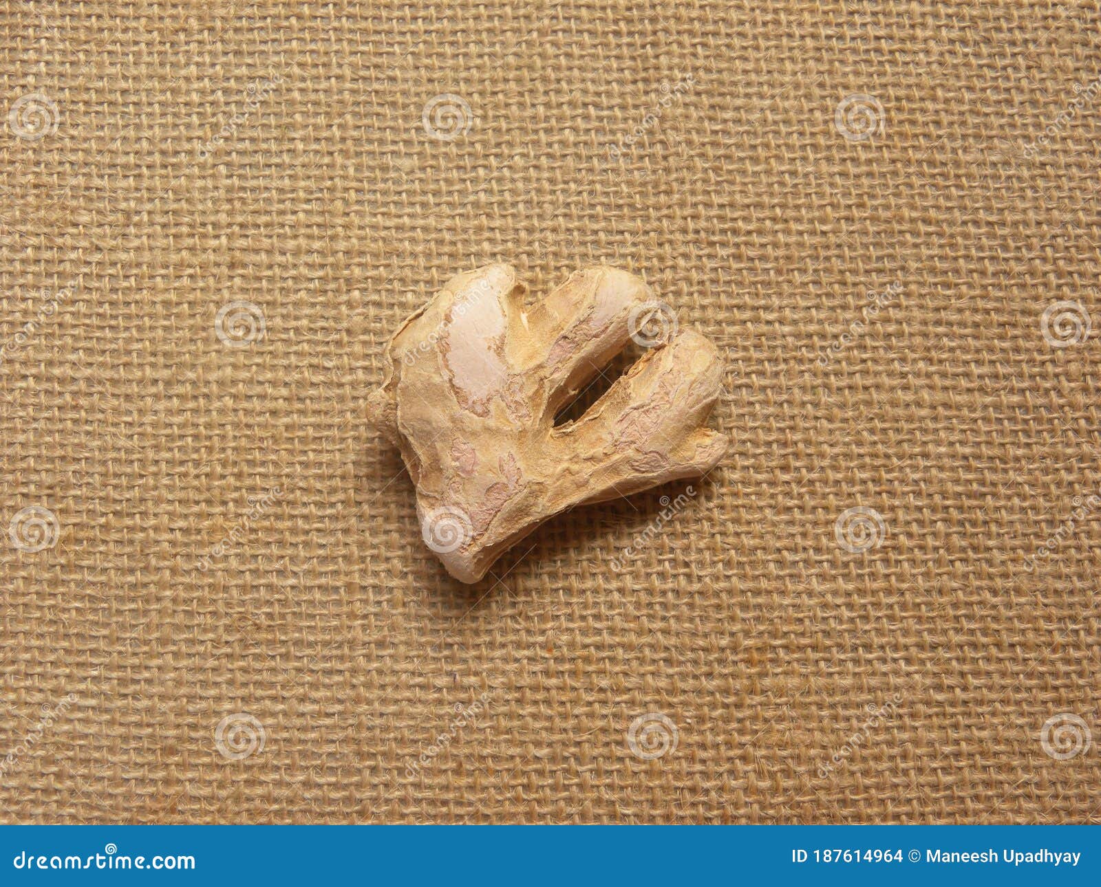 Beige color dried Ginger stock photo. Image of closeup - 187614964