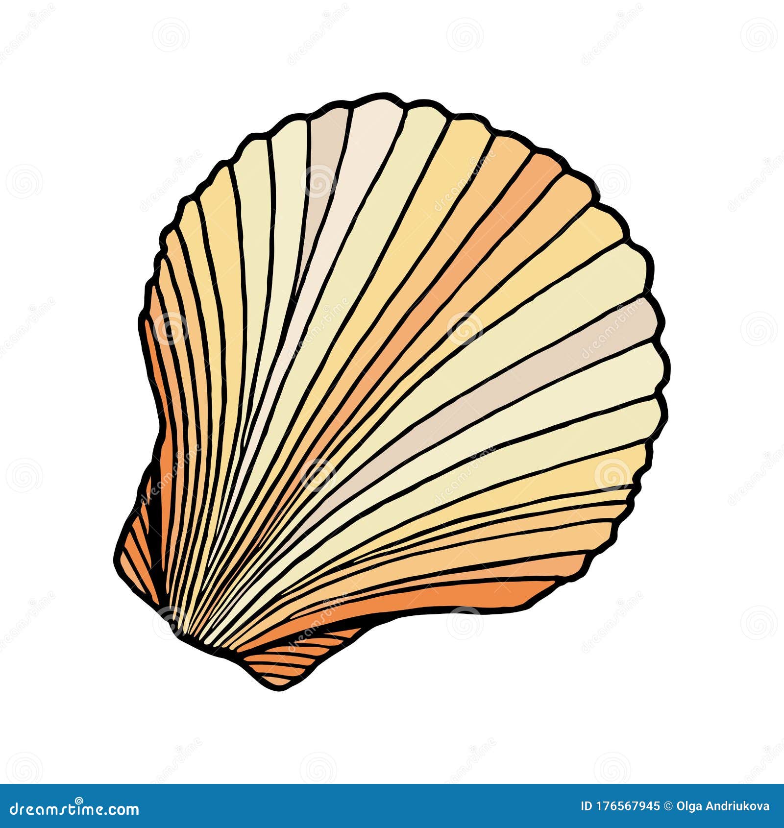 Beige Colored Seashell. Hand Drawn Vector Illustration of Underwater ...