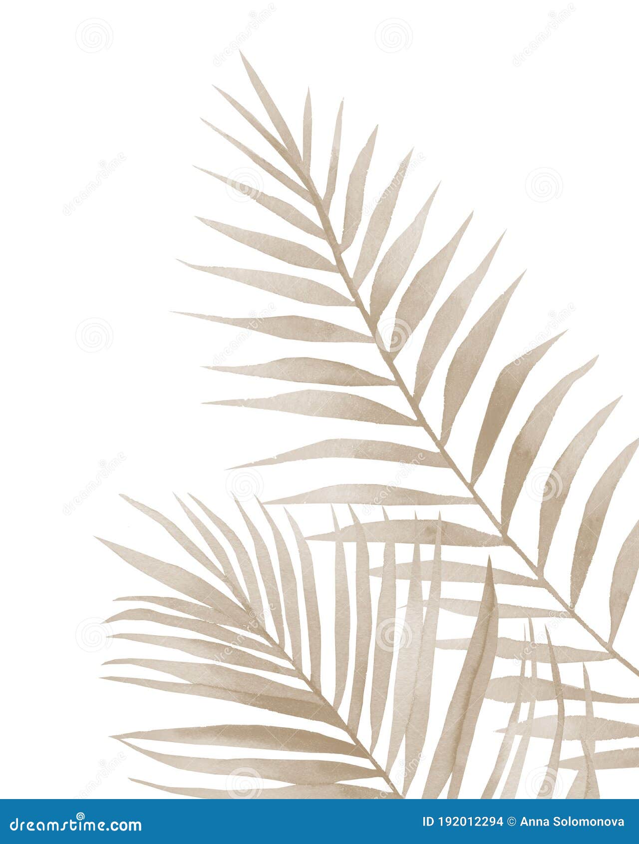 Beige Dried Palm Leaves. Tropical Fronds. Watercolour Illustration ... Beige Dried Palm Leaves. Tropical Fronds. Watercolour Illustration ...