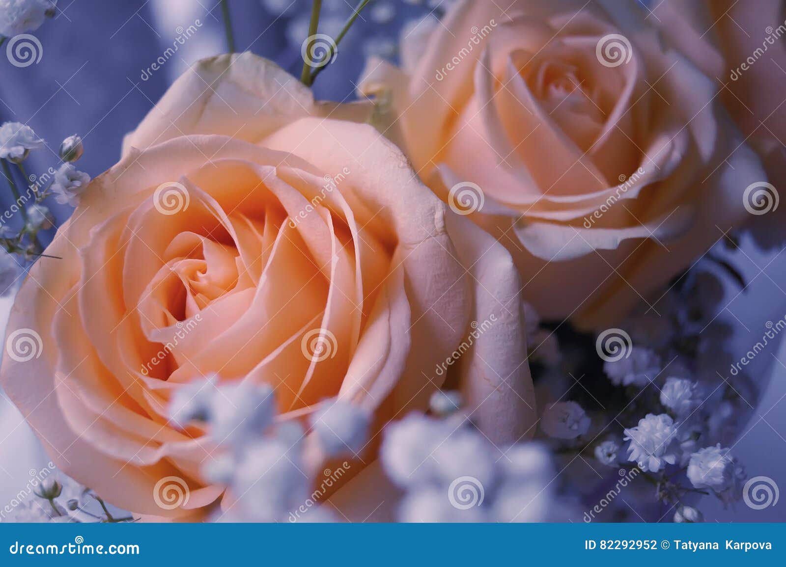 Beige flowers stock photo. Image of petal, plant, petals - 82292952
