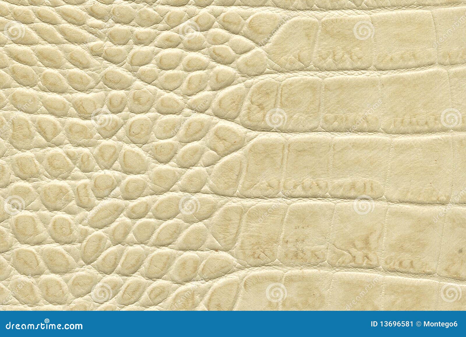 Beige leather texture stock image. Image of pattern, quality - 13696581