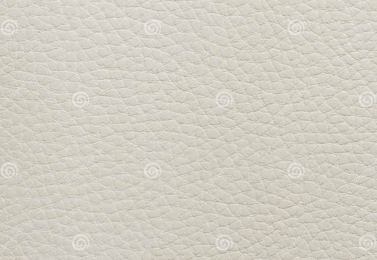 Beige leather texture stock photo. Image of bumped, cowskin - 25826834