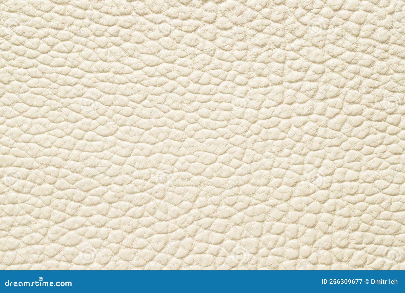 Beige Leather Texture Background with Natural Pattern Stock Image ...