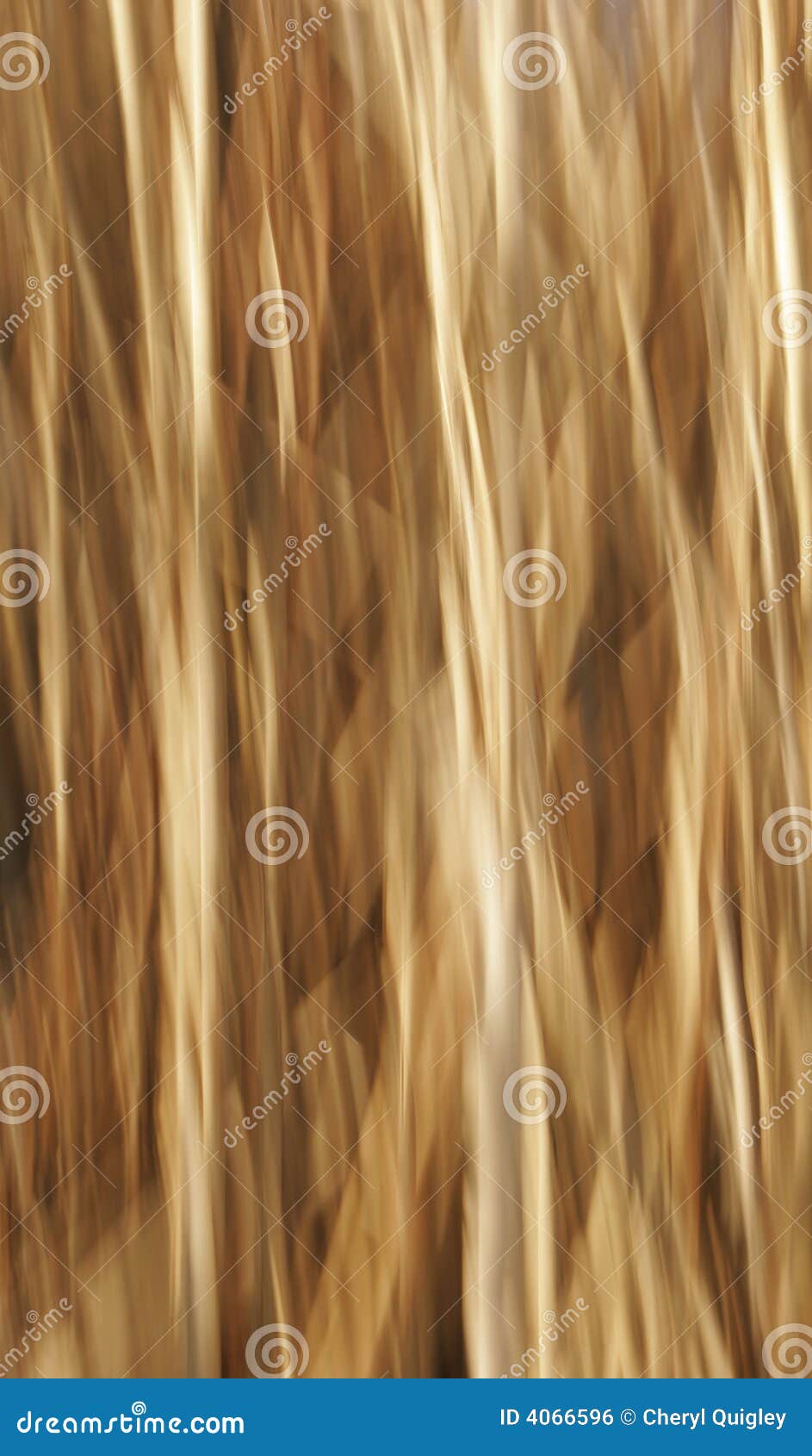 Beige Nature Blur Background Stock Photo - Image of farm, plant: 4066596