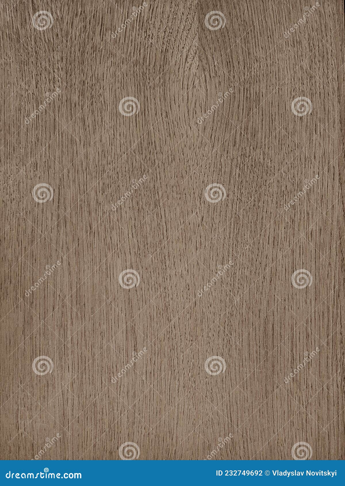 Beige Oak Texture for Design, Rough Structure Stock Photo - Image of ...