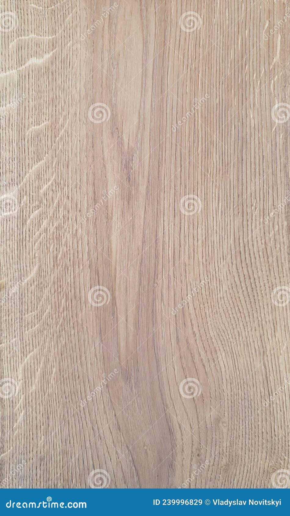 Beige Oak Texture for Design Stock Image - Image of background ...
