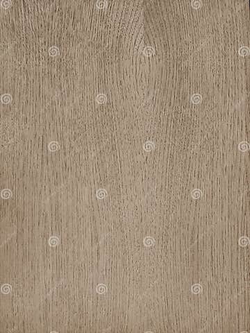 Beige Oak Texture for Design, Rough Structure Stock Image - Image of ...