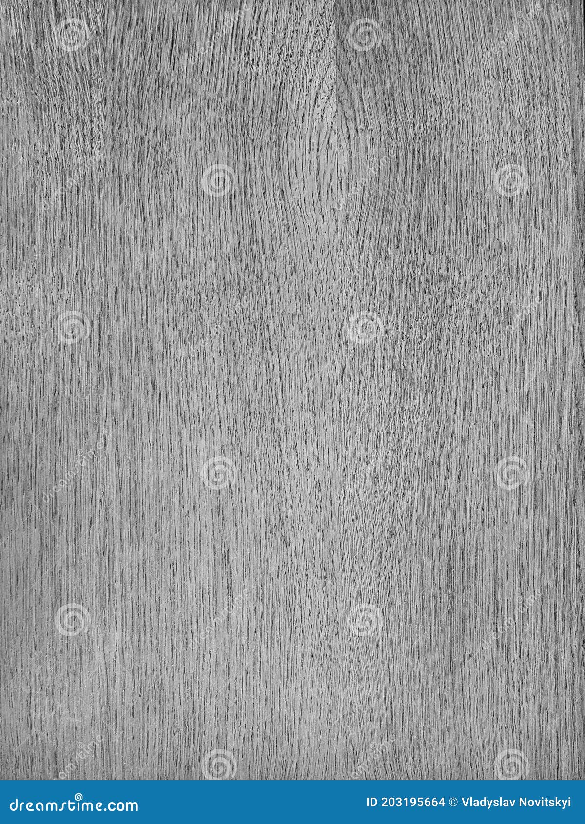 Beige Oak Texture for Design, Rough Texture Stock Photo - Image of ...