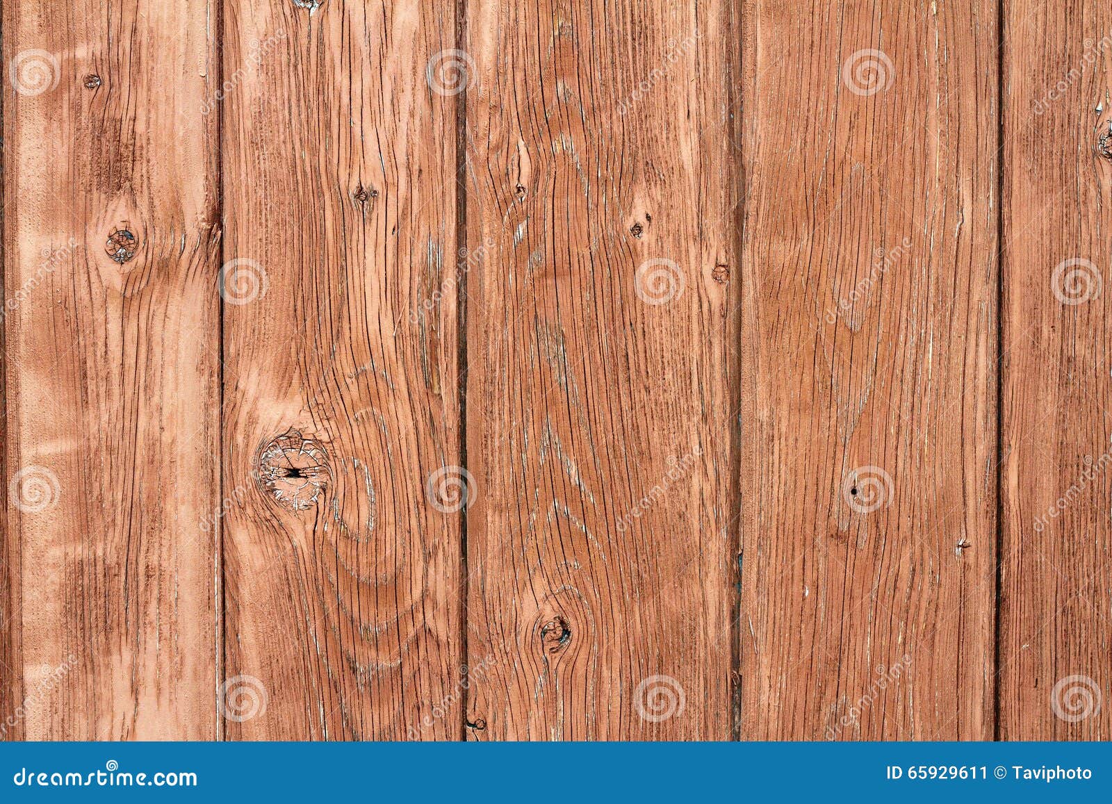 Beige Painted Spruce Planks Texture Stock Photos - Free & Royalty-Free ...