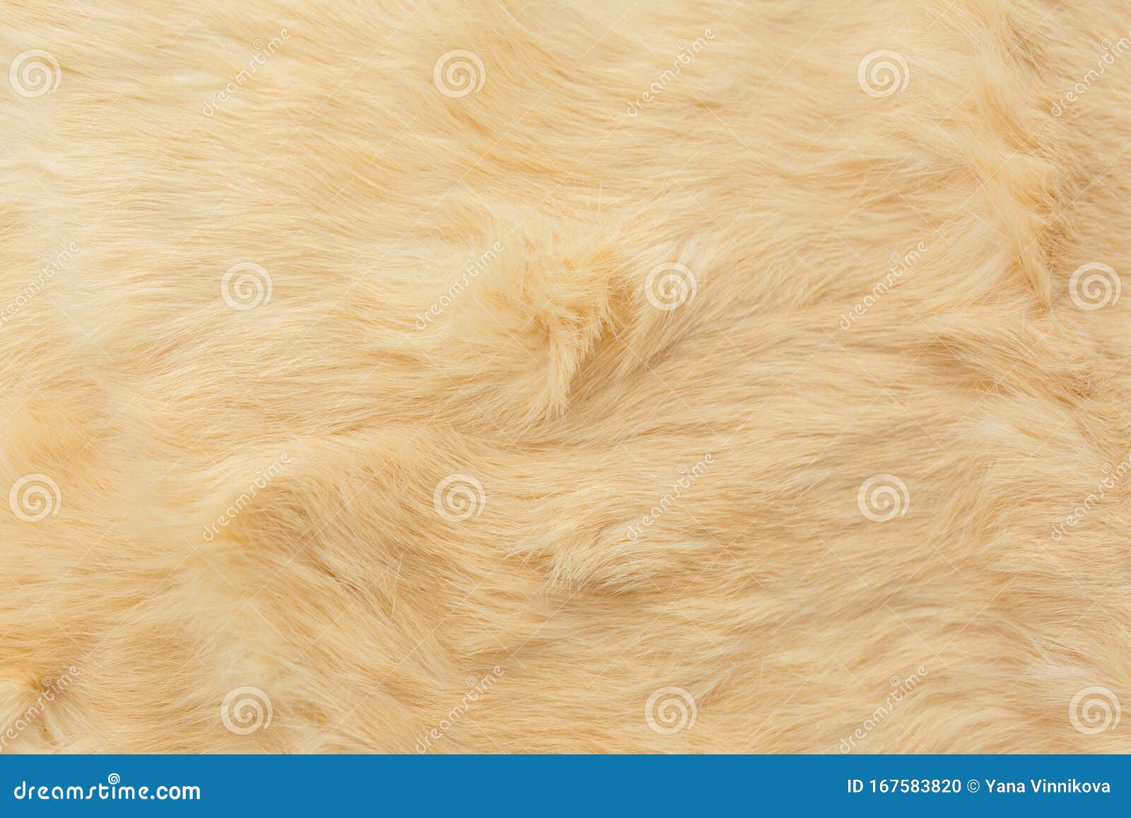 Beige Rabbit Fur Texture, Animal Skin Background Stock Photo - Image of ...