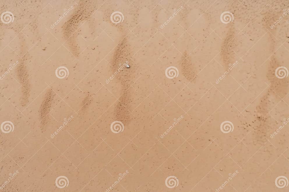 Beige Sand Texture with Subtle Wind Patterns Stock Illustration ...