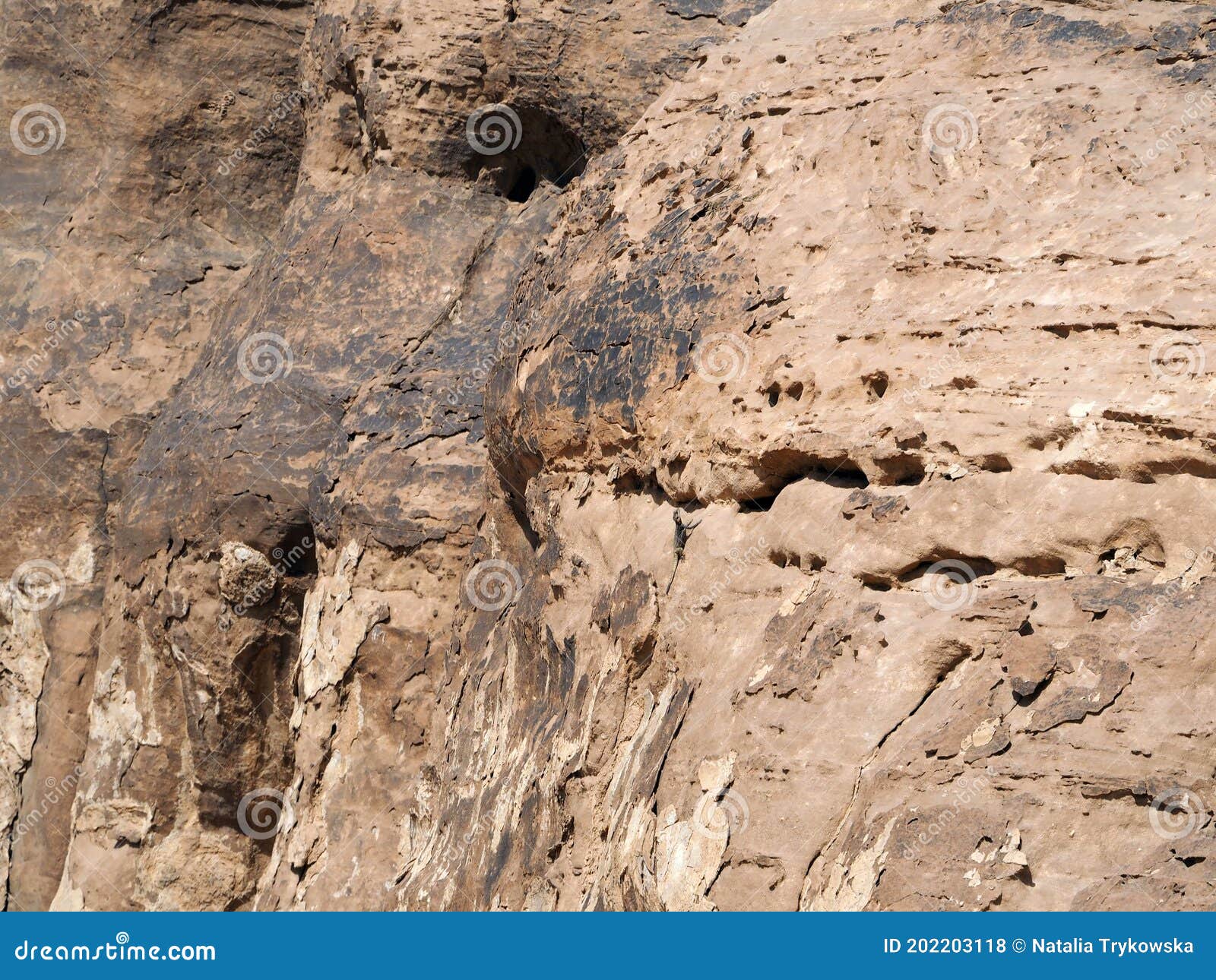 Rough Texture of Beige Rose Sandstone Rock Stock Photo - Image of rock ...