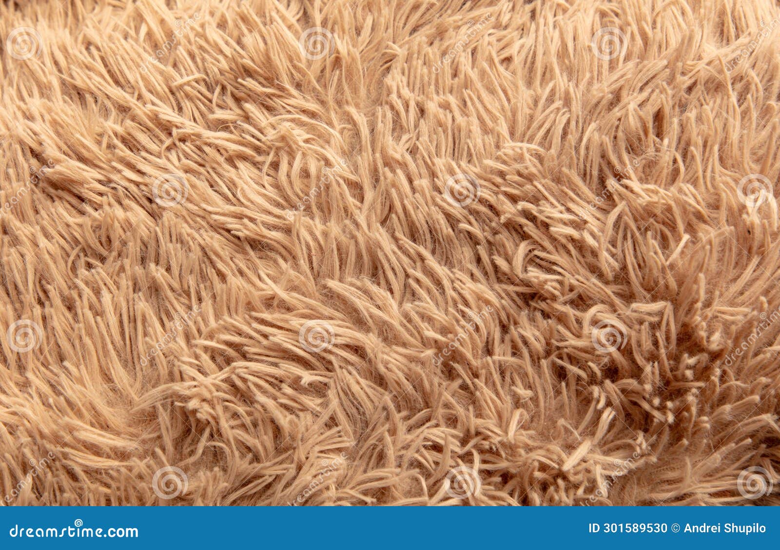 Beige Shag Carpet As an Abstract Background. Texture Stock Photo ...