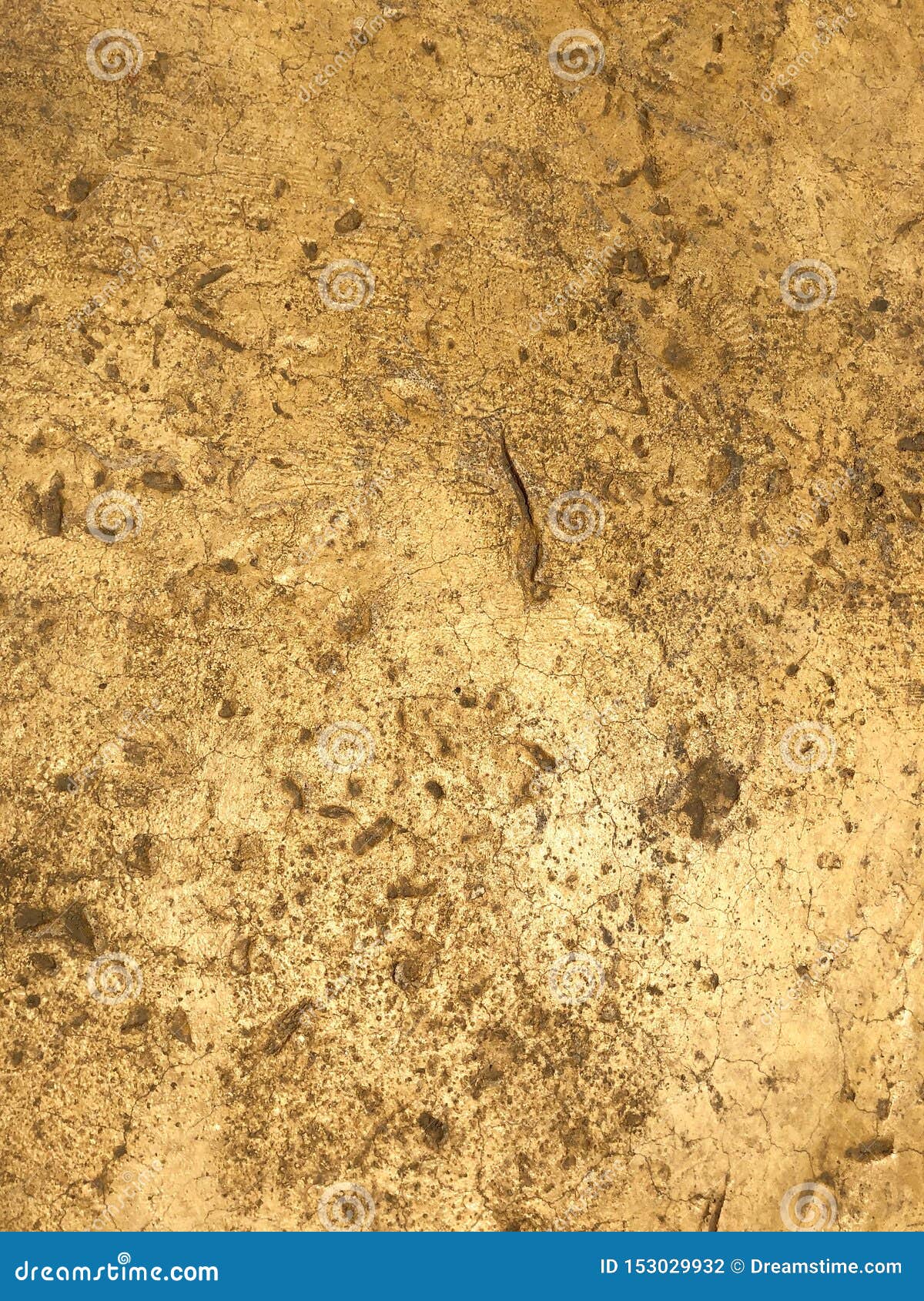 Beige Stone Texture Background Stock Photo - Image of pattern, wall ...