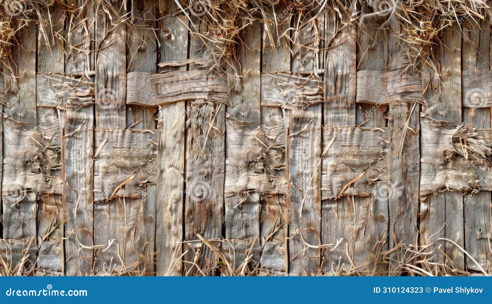 Beige Straw Carpet for Texture or Background. Texture Background Dry ...