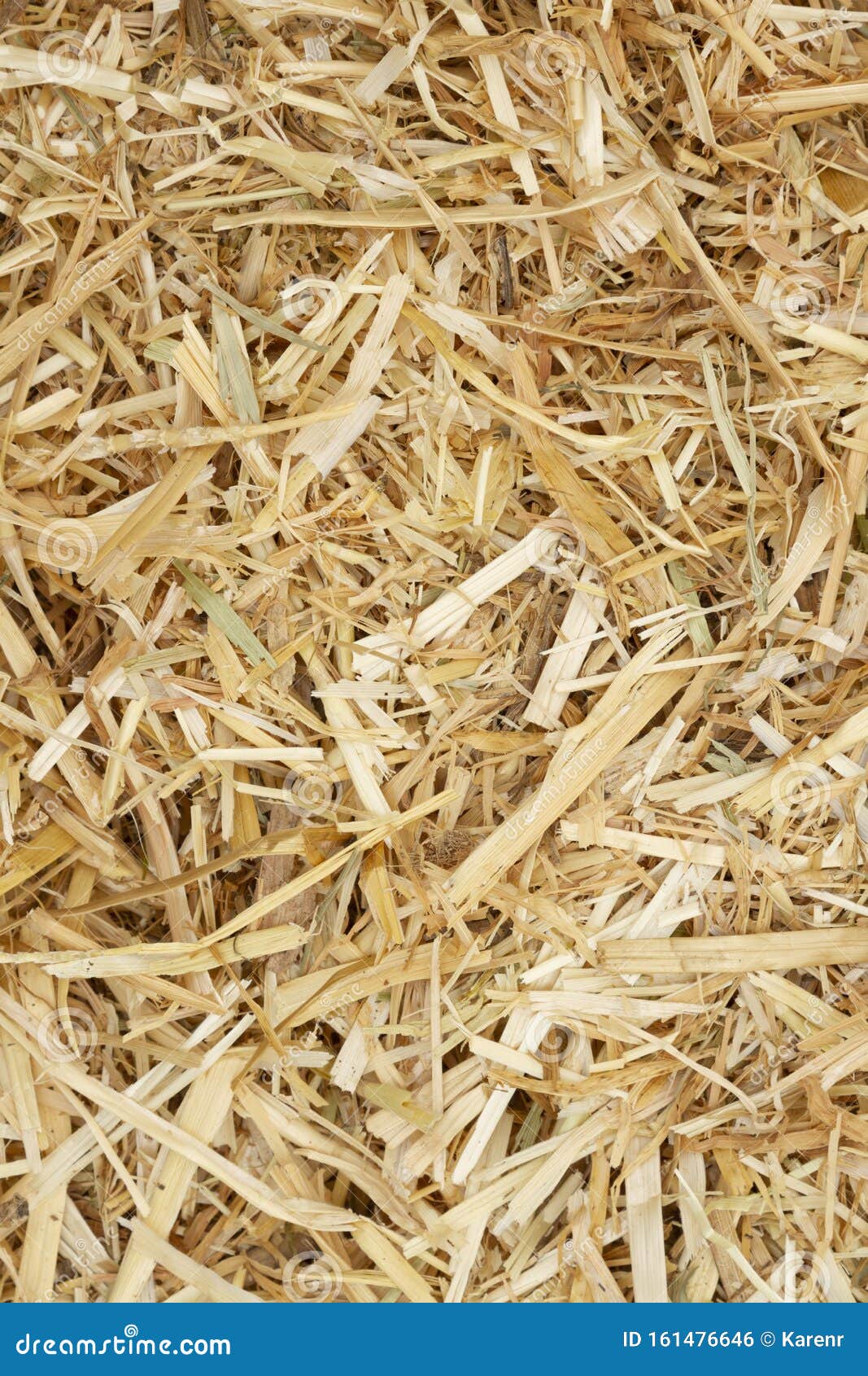 Beige Straw Hay Background Top View Stock Photo - Image of surface ...