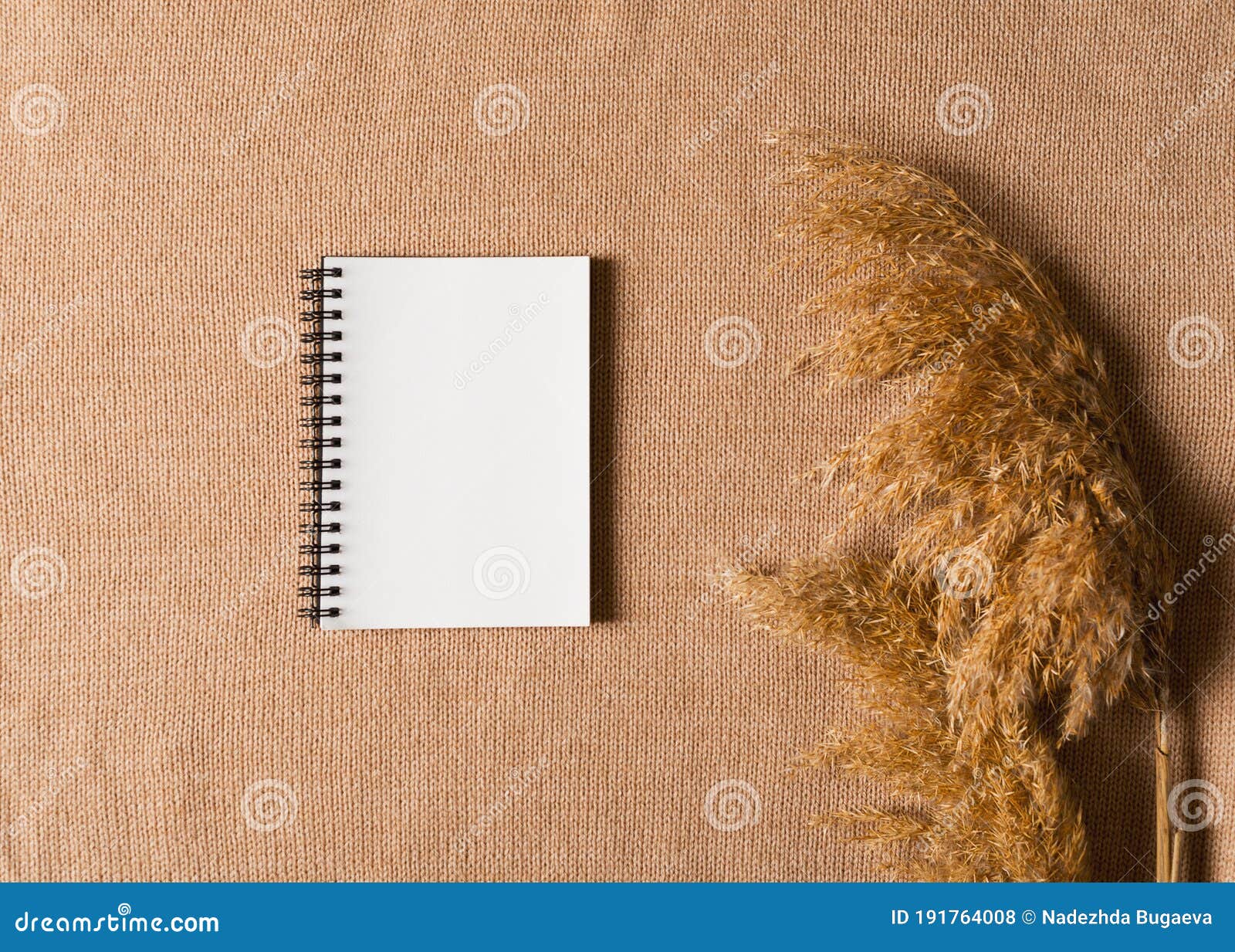 Grass And Sky On Paper Texture Stock Photo | CartoonDealer.com #20774424