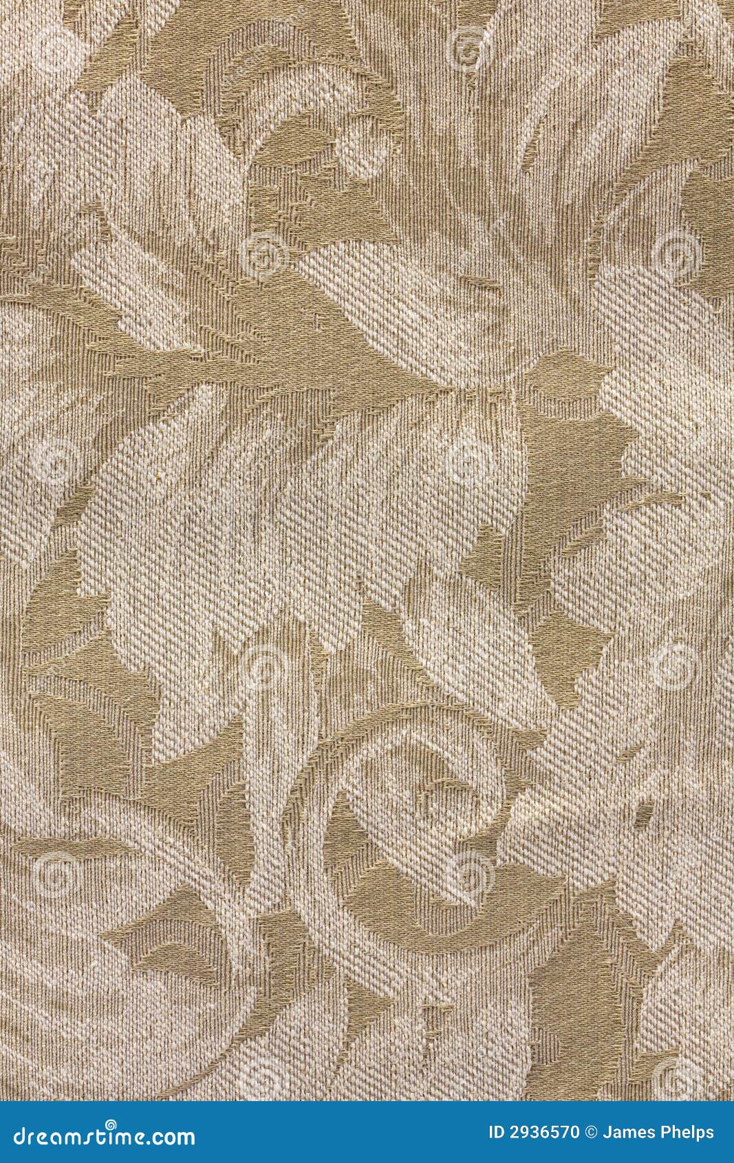 Beige Tone Floral Fabric Patte Stock Photo - Image of fashion, canvas ...