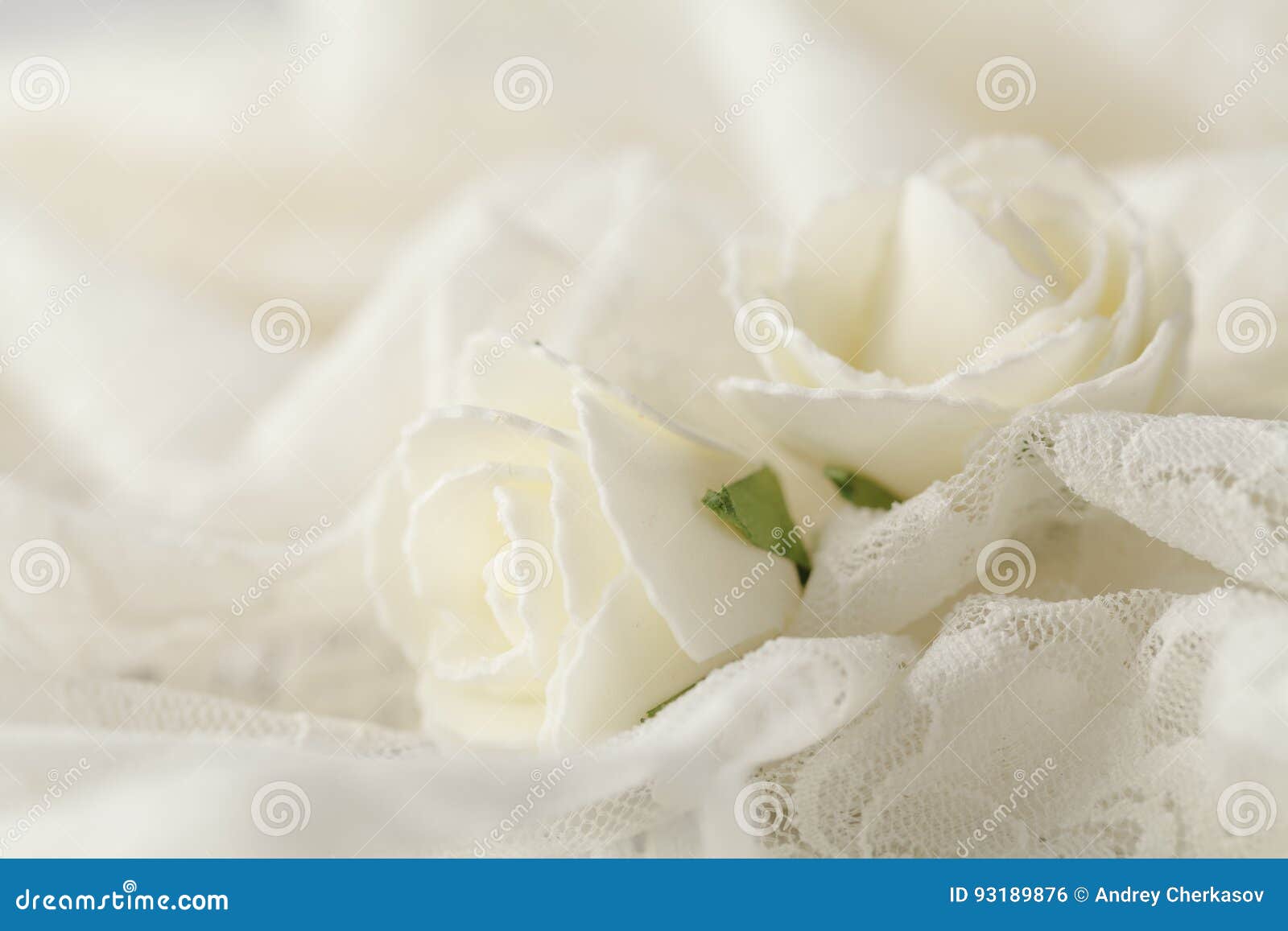 Beige Wedding Background with Roses Stock Photo - Image of flower, card ...