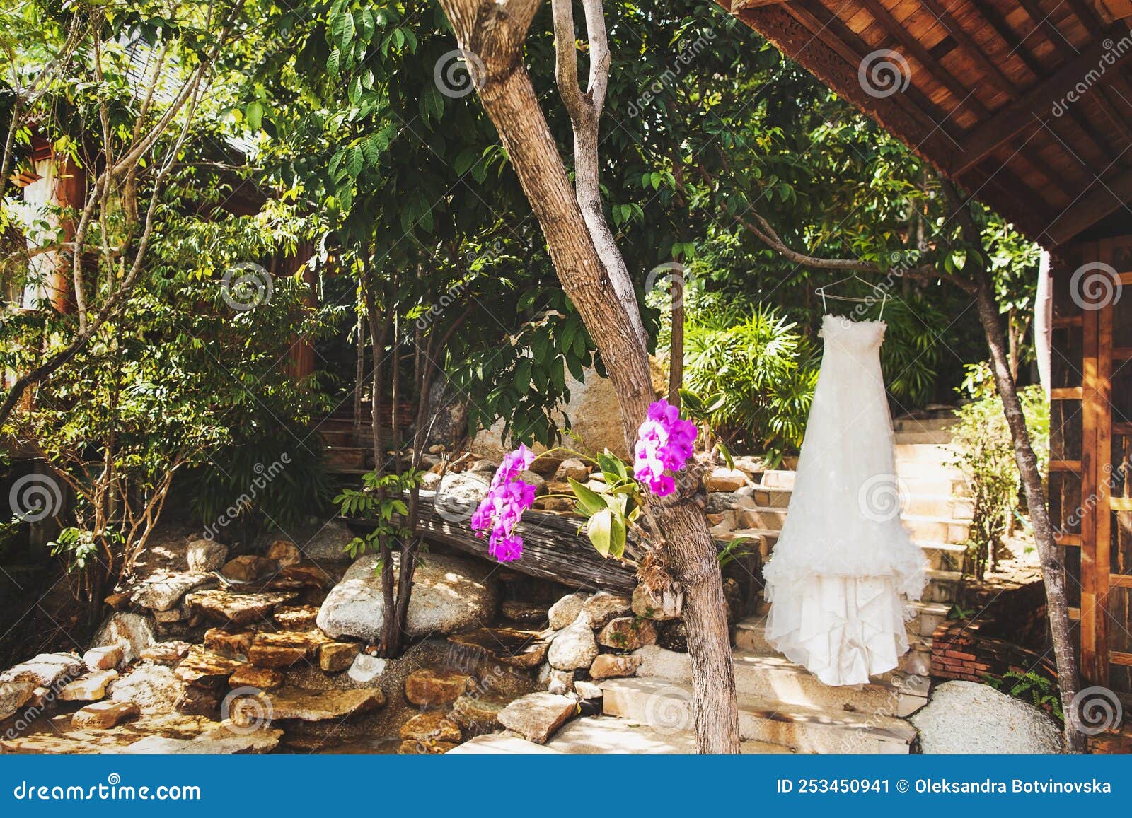 Beige Wedding Dress Hanging on a Tree Stock Image - Image of classic ...