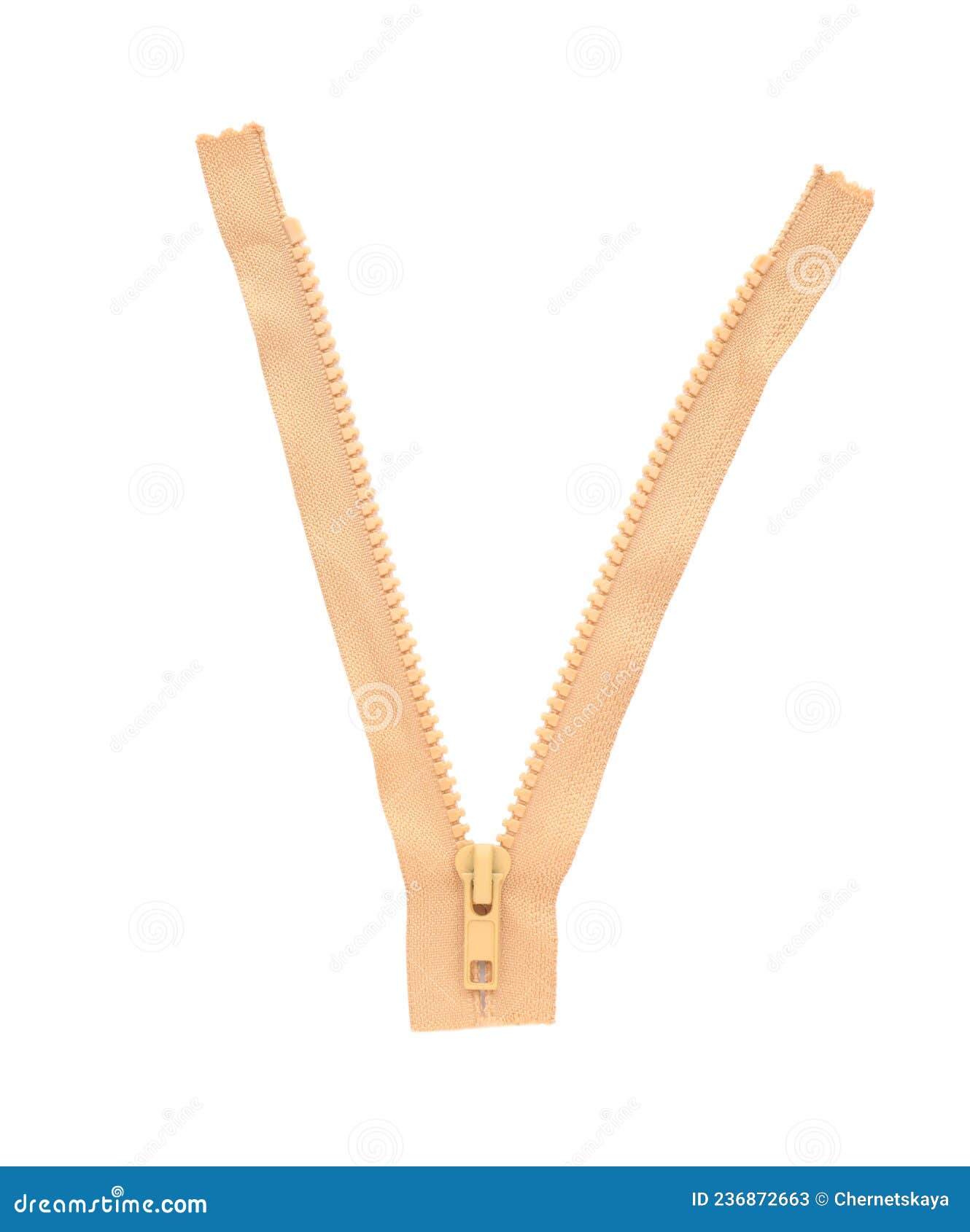 Beige Zipper Isolated on White, Top View Stock Image - Image of ...