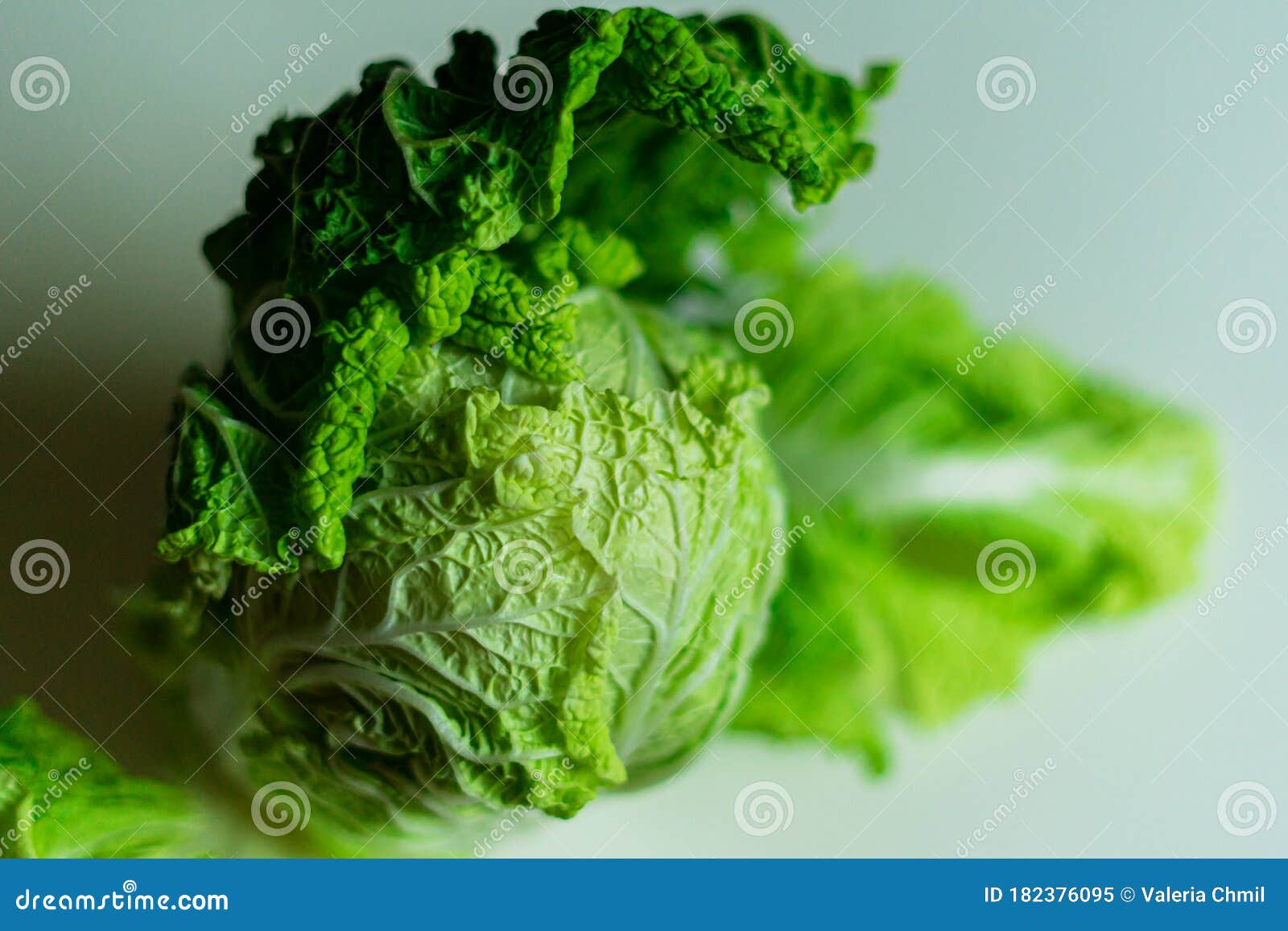 Beijing cabbage close-up stock image. Image of ripe - 182376095