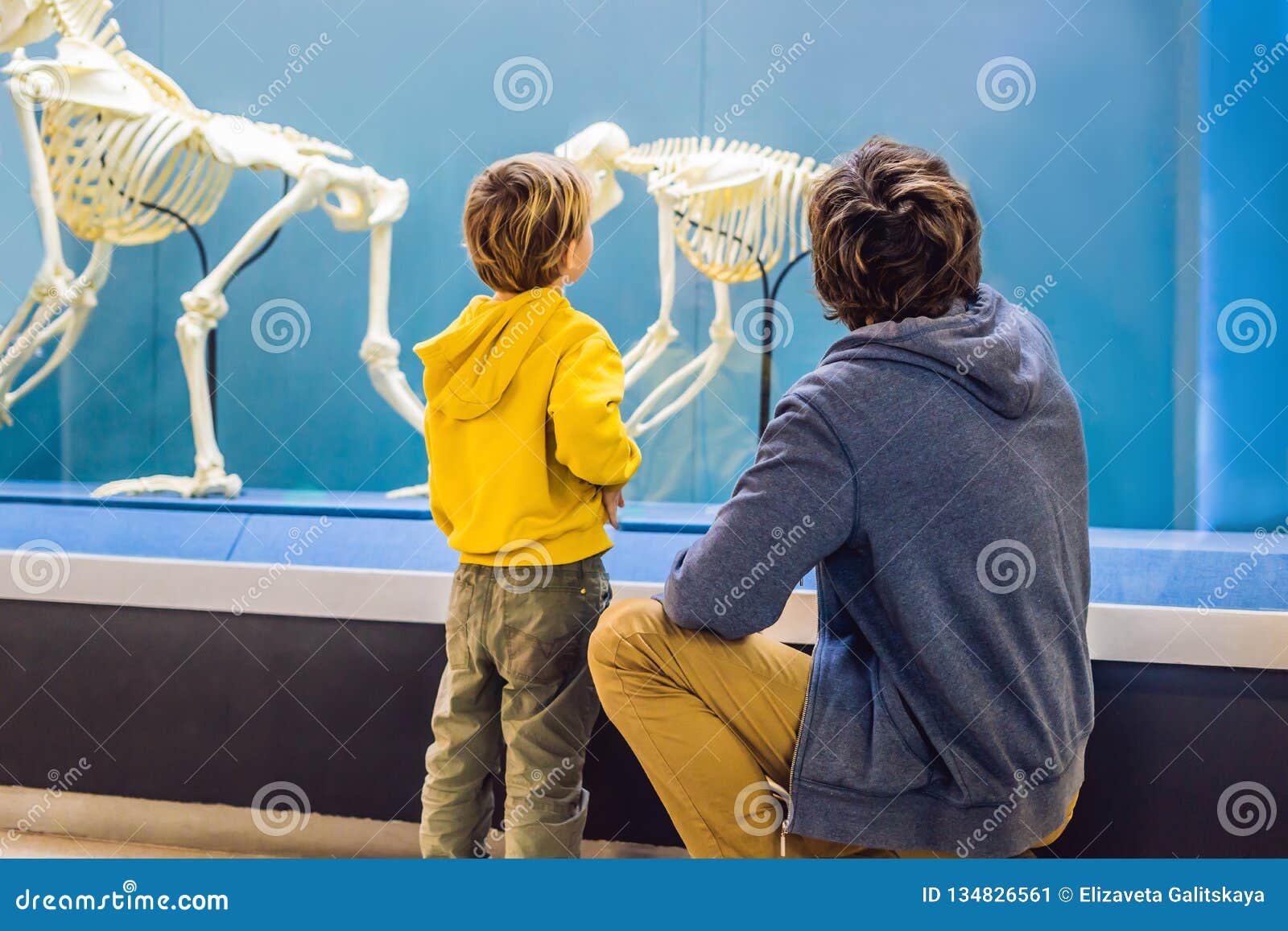Dad And Son Are Watching The Skeletons Of Ancient And Modern People ...