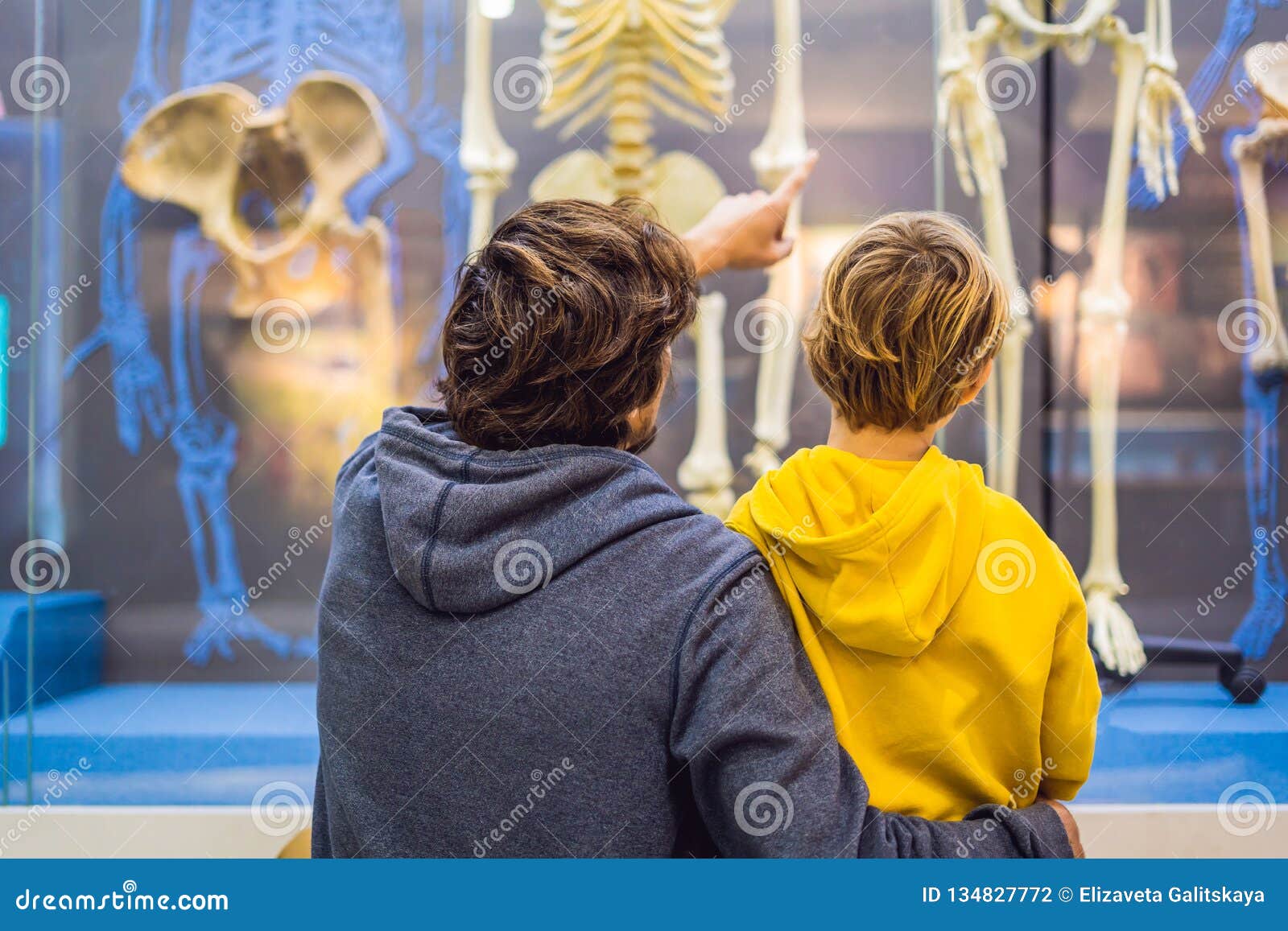 Dad And Son Are Watching The Skeletons Of Ancient And Modern People ...