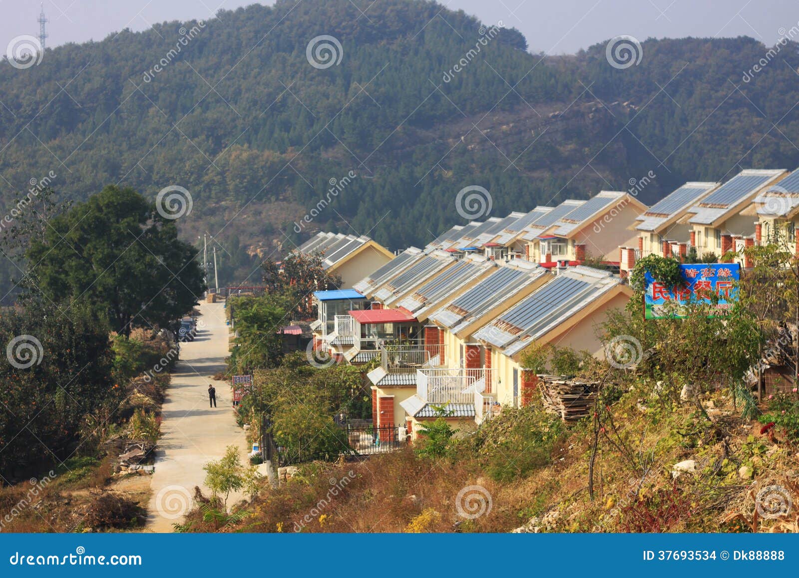 Beijing rural stock photo. Image of chestnuts, beijing - 37693534