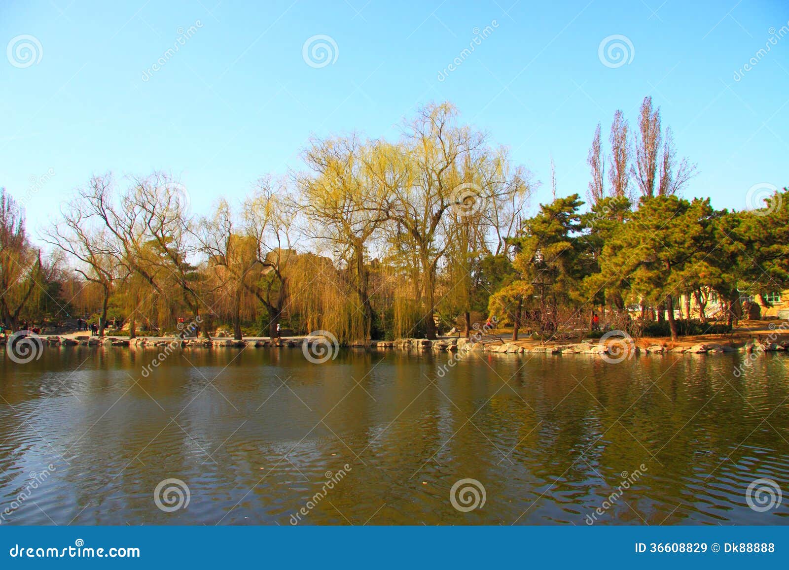 Beijing spring scenery stock image. Image of east, capital - 36608829