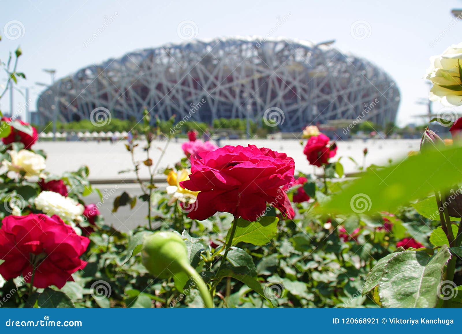 Beijing Stadium with Flowers. Editorial Photo - Image of national ...