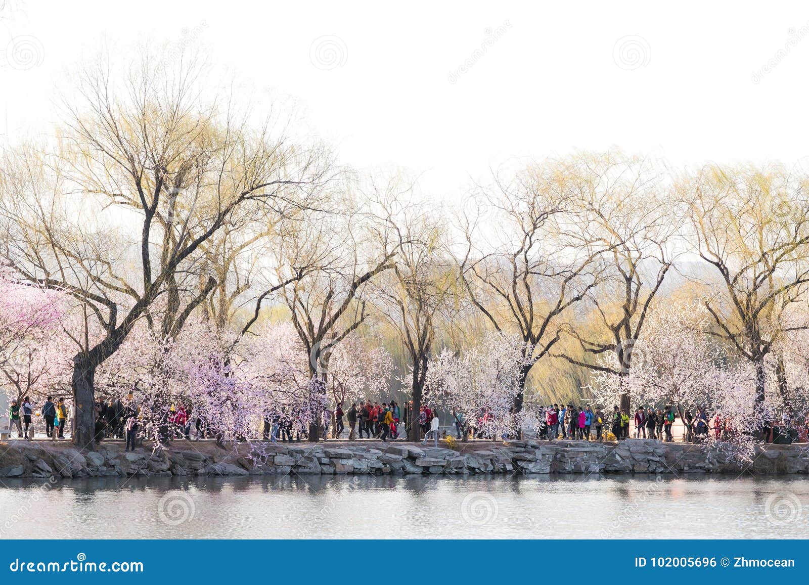 Beijing Summer Palace Spring Scenery Editorial Photo - Image of spring ...