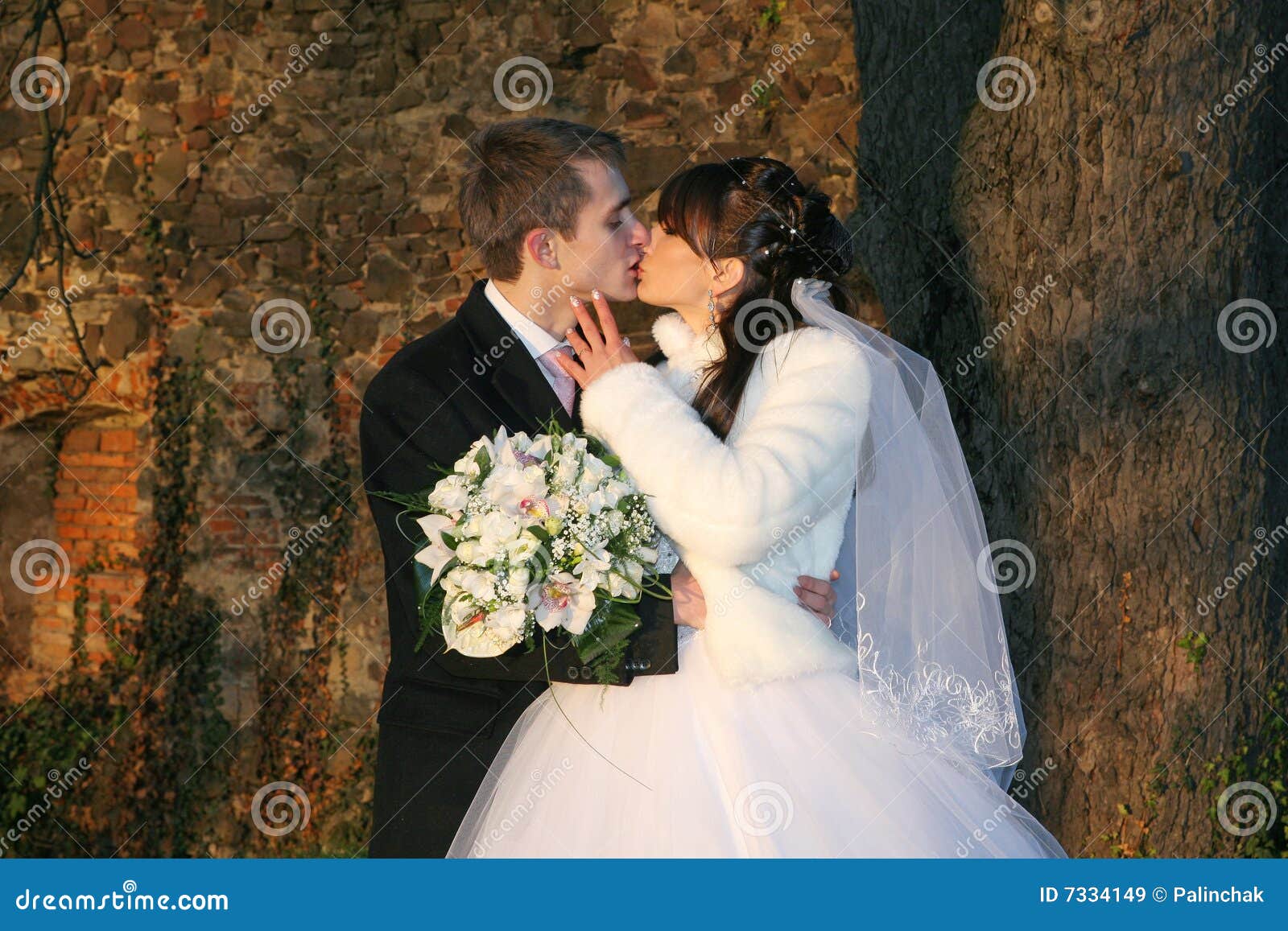 Beijo do amor imagem de stock. Imagem de verde, vestido - 7334149