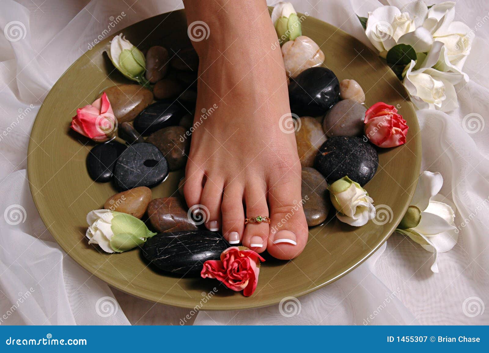 Being pampered stock image. Image of natural, pamper, decoration - 1455307