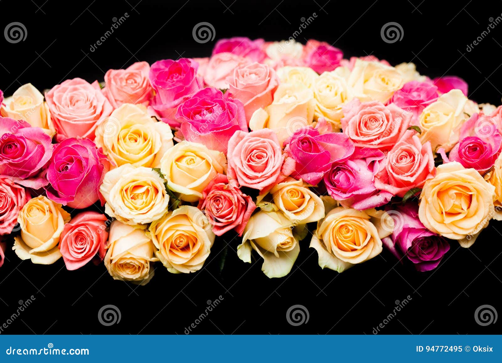 Beira Cor-de-rosa E Bege Das Rosas Imagem de Stock - Imagem de projeto ...
