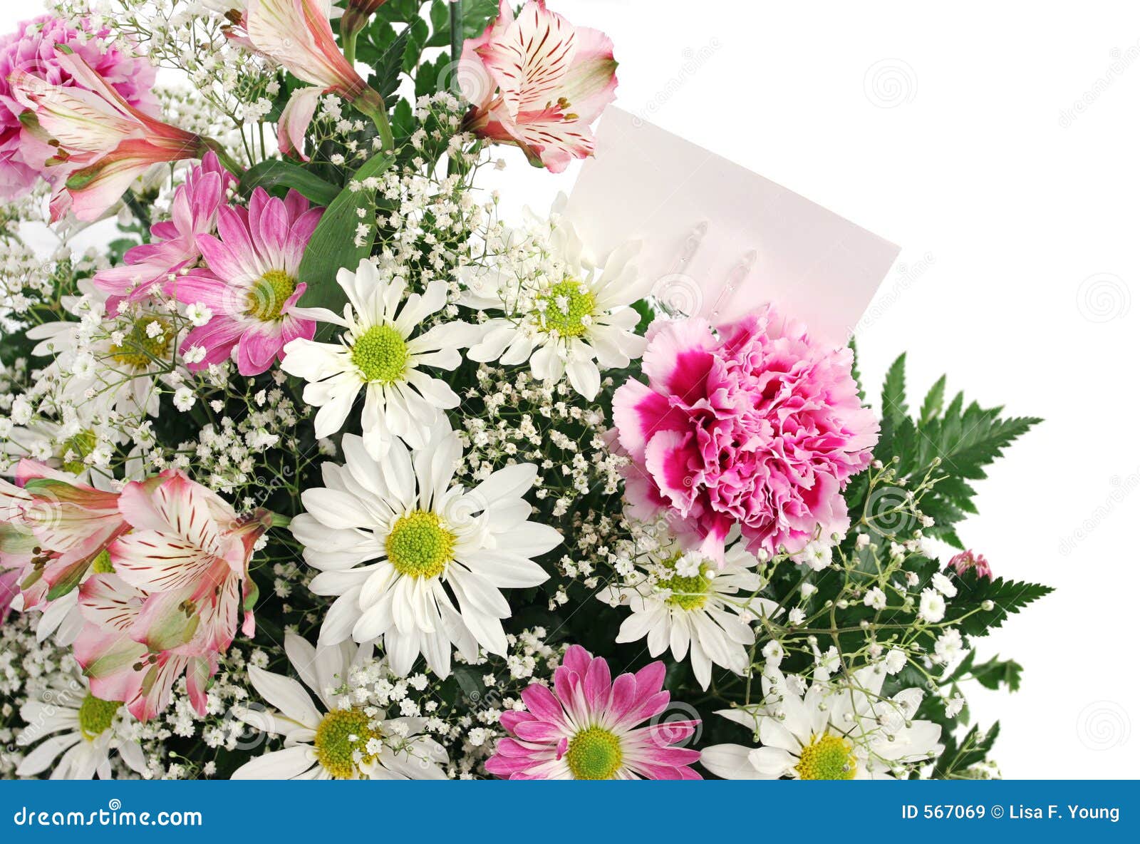 Beira da flor horizontal imagem de stock. Imagem de valentinas - 567069