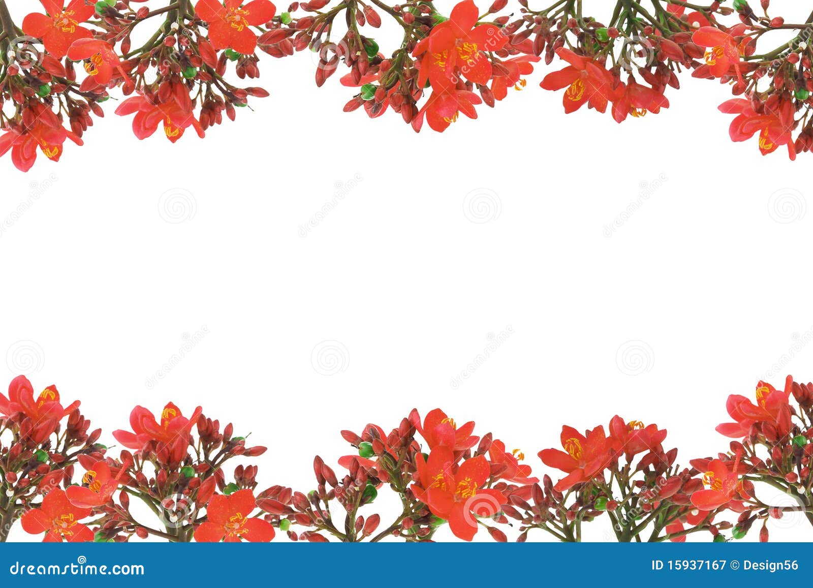 Beira Vermelha Do Projeto Floral Imagem de Stock - Imagem de grupo ...